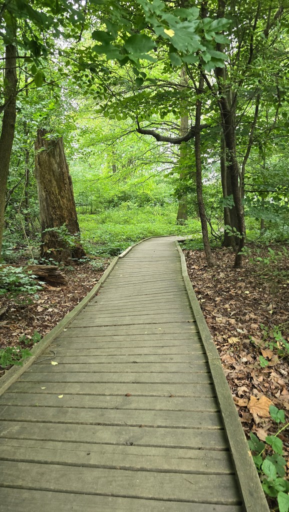 Take a Walk Through Bartram's Garden || Philadelphia, PA